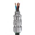 Ex e & Ex d Cable Gland ATEX & IECEx – CMP E1FW/M Cable Glands