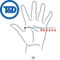 Class 3 Gloves | Insulating Gloves Class 3 | HV High Voltage Gloves