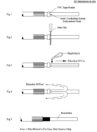 Removal of Semi-Conducting Screens | Polymeric Cables