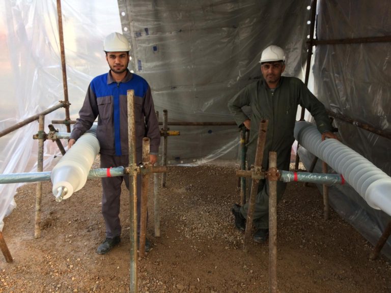 Pfisterer ESF Archives - Power and Cables