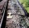 Installation of Rail Foot Cables | Cable Laying & Cable Sleeve Installation