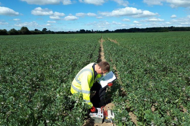 HV System Earthing Design - A Case Study Earthing Designs High Voltage