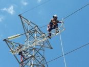 Overhead Lines Training | Overhead Line Conductors | High Voltage
