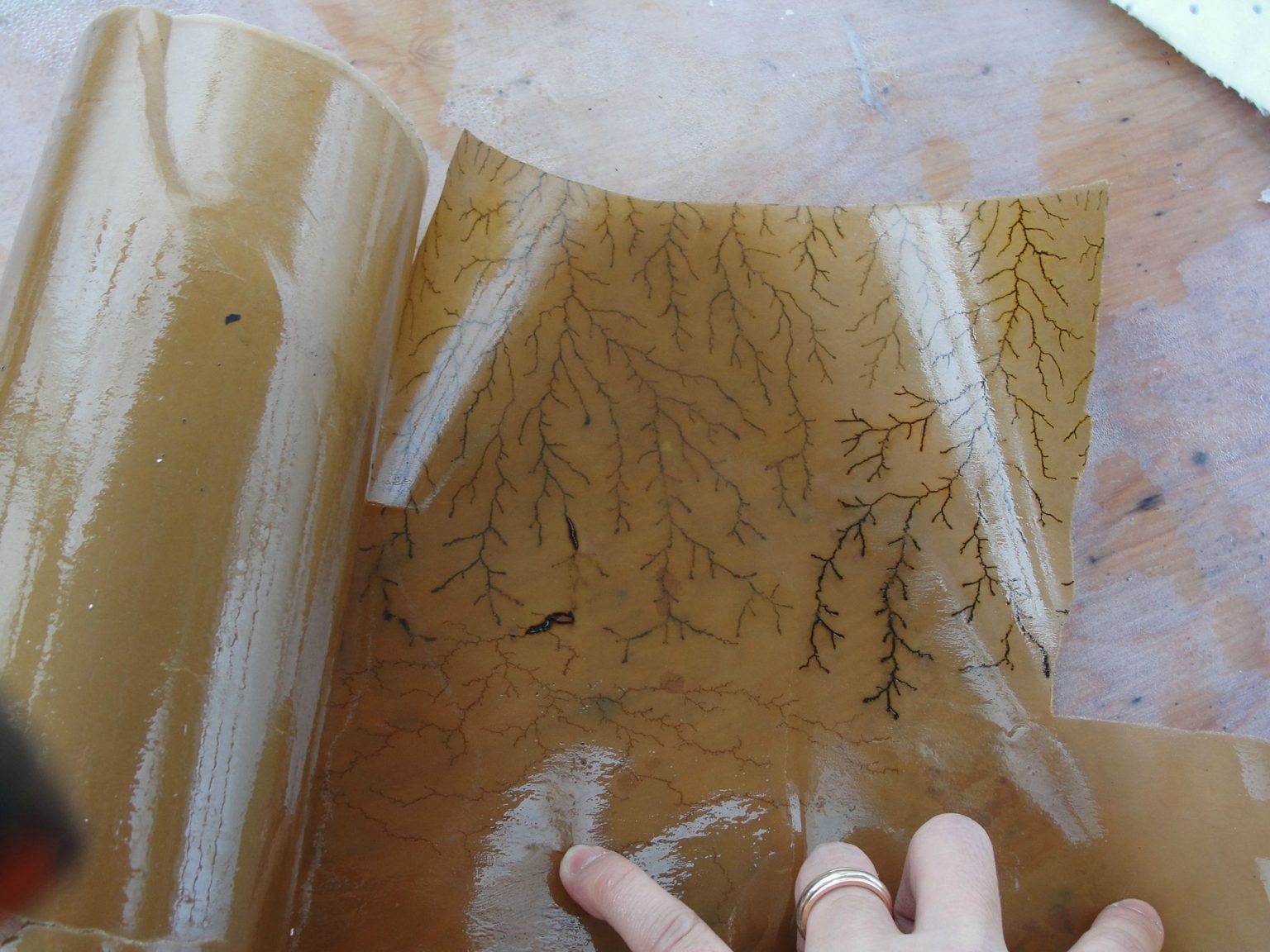 Water Treeing in High Voltage Cables | A 230kV HPPT Termination Repair